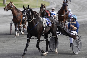 News Article - Australian Harness Racing