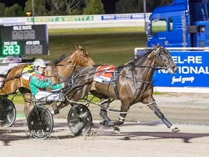 News Article - Australian Harness Racing
