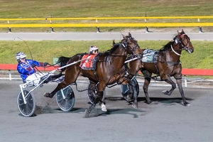 News Article - Australian Harness Racing