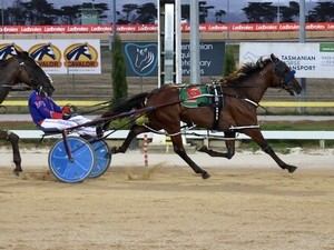 News Article - Australian Harness Racing