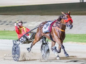 News Article - Australian Harness Racing