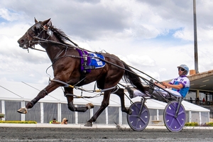 News Article - Australian Harness Racing