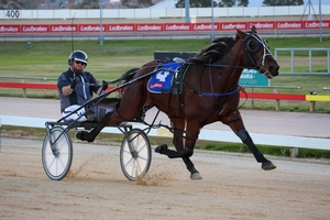 News Article - Australian Harness Racing