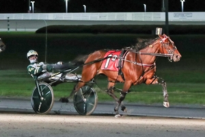 News Article - Australian Harness Racing