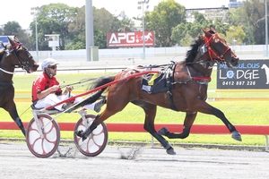 News Article - Australian Harness Racing