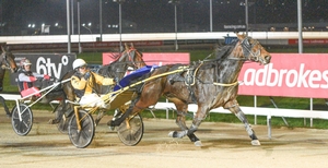 News Article - Australian Harness Racing