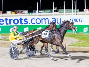 News Article - Australian Harness Racing