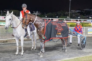 News Article - Australian Harness Racing