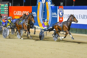 News Article - Australian Harness Racing