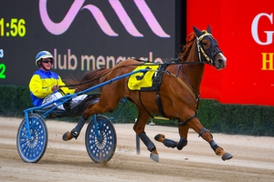 News Article - Australian Harness Racing