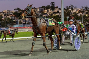 News Article - Australian Harness Racing