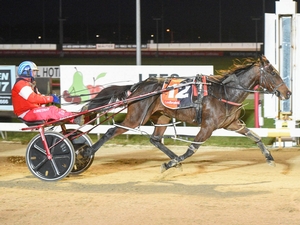 News Article - Australian Harness Racing