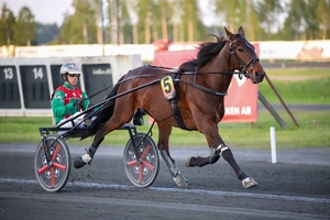 News Article - Australian Harness Racing