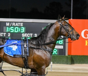News Article - Australian Harness Racing