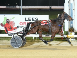 News Article - Australian Harness Racing