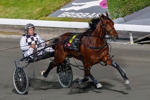 News Article - Australian Harness Racing