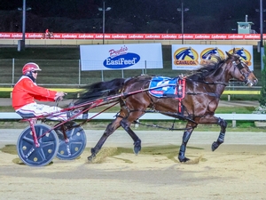 News Article - Australian Harness Racing