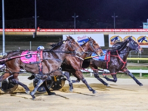 News Article - Australian Harness Racing