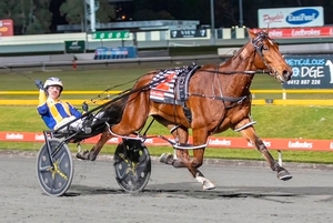 News Article - Australian Harness Racing