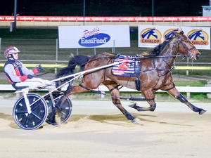 News Article - Australian Harness Racing