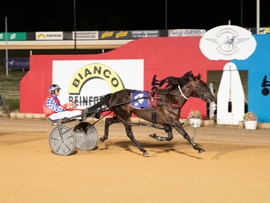 News Article - Australian Harness Racing