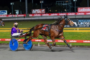 News Article - Australian Harness Racing