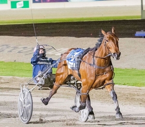 News Article - Australian Harness Racing