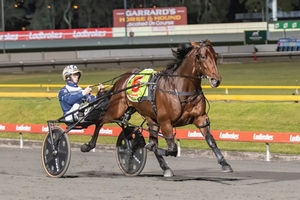 News Article - Australian Harness Racing
