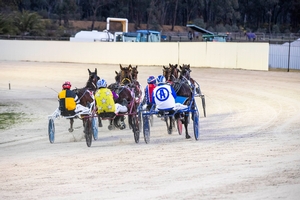 News Article - Australian Harness Racing