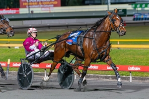 News Article - Australian Harness Racing