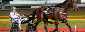 News Article - Australian Harness Racing