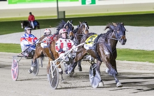 News Article - Australian Harness Racing