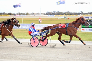 News Article - Australian Harness Racing