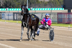 News Article - Australian Harness Racing