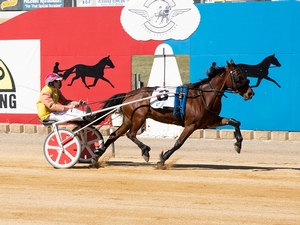 News Article - Australian Harness Racing