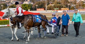 News Article - Australian Harness Racing