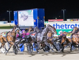 News Article - Australian Harness Racing