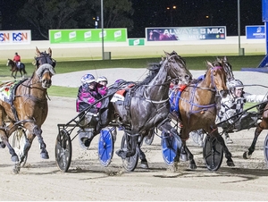 News Article - Australian Harness Racing