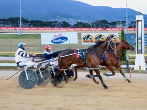 News Article - Australian Harness Racing