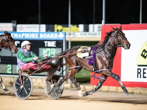 News Article - Australian Harness Racing