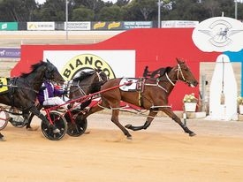News Article - Australian Harness Racing