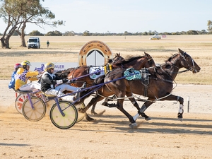 News Article - Australian Harness Racing