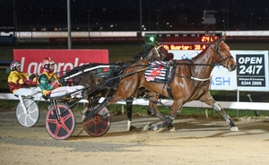 News Article - Australian Harness Racing