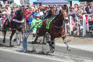 News Article - Australian Harness Racing