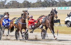 News Article - Australian Harness Racing