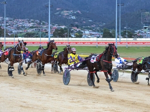 News Article - Australian Harness Racing