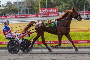 News Article - Australian Harness Racing