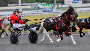 News Article - Australian Harness Racing
