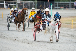News Article - Australian Harness Racing