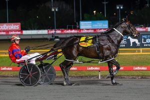 News Article - Australian Harness Racing